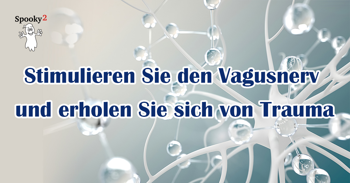 Stimulieren Sie den Vagusnerv und erholen Sie sich von Trauma - Spooky2 ...