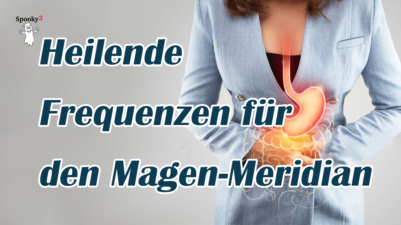 Heilende Frequenzen für den Magen-Meridian - Spooky2 Deutschland